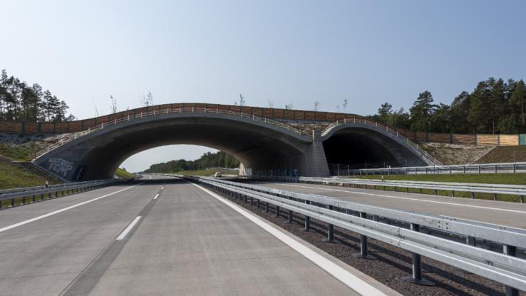 Alles zum Thema Autobahn 14 | RTL.de