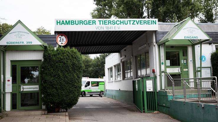 Alles zu Thema Tierheim Hamburg (Süderstraße) | RTL.de
