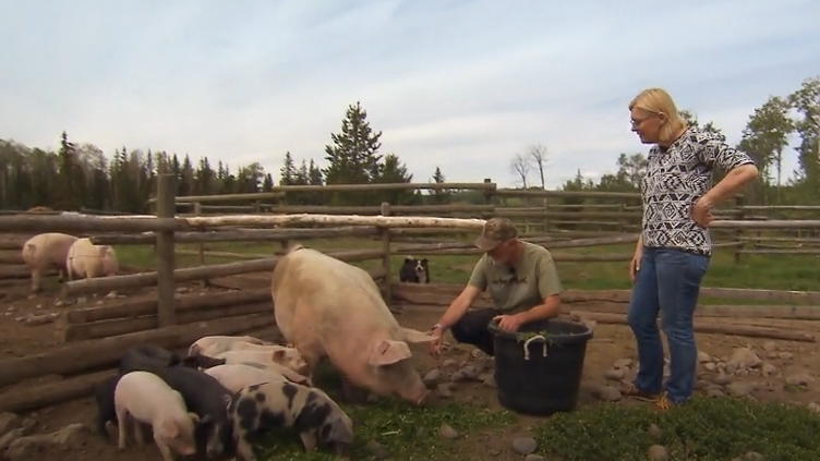 Gibt er ihr trotzdem eine Chance?: Darum ist Angelika auf Andreas' Farm ...