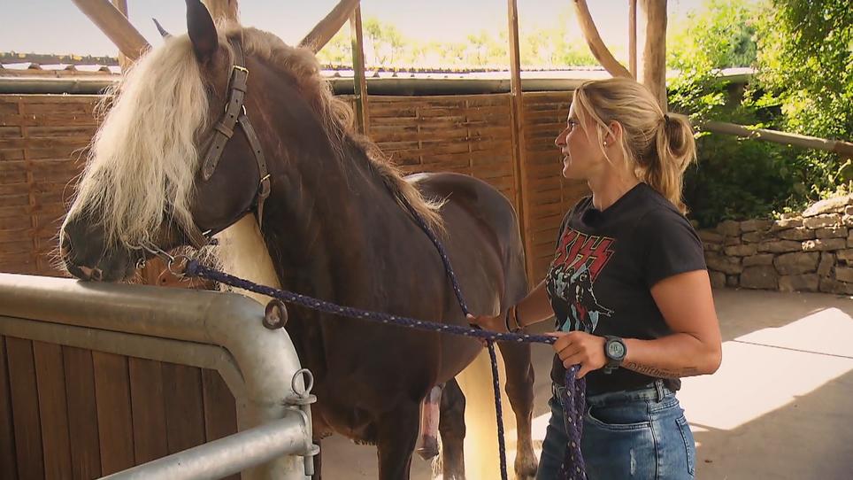 Ist sie bereit für den Hengst?: Loretta und Sascha bereiten sich auf ... Ist sie bereit für den Hengst?: Loretta und Sascha bereiten sich auf ...