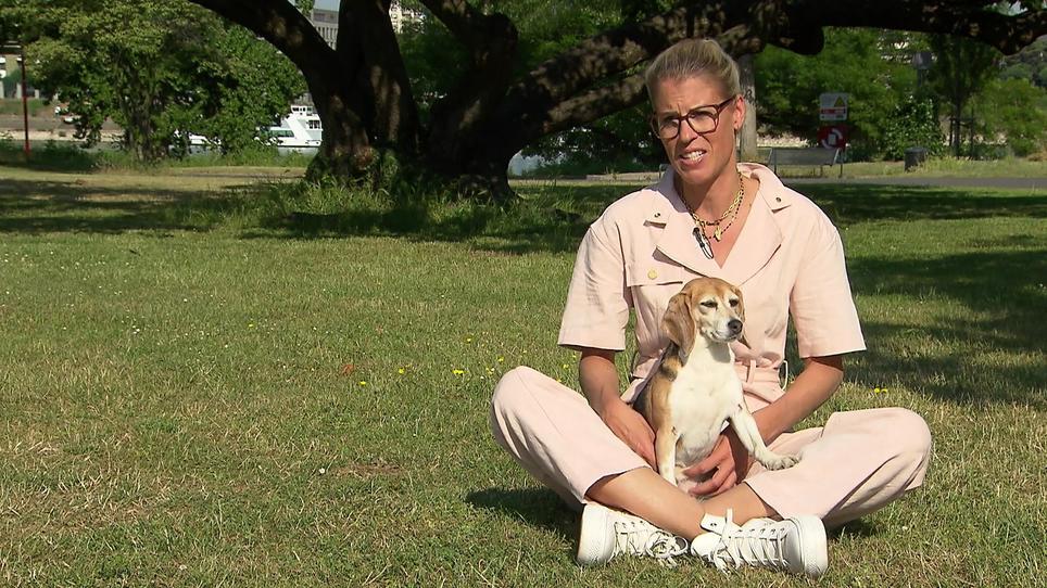 Tierisch heiß!: Tierärztin "Doc Polly" gibt Tipps gegen die Hitze | RTL.de