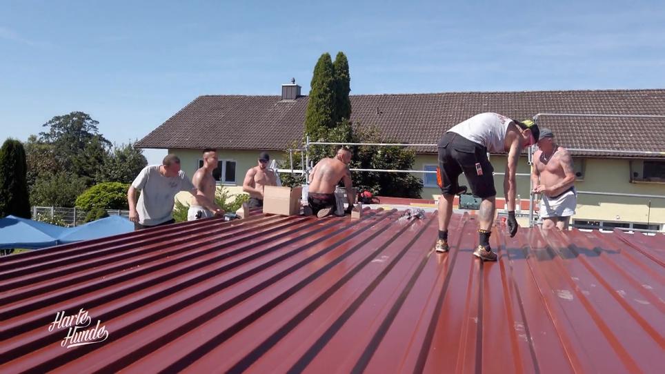 Dellen-Gefahr: Vorsicht mit den Dachblechen! | RTL.de